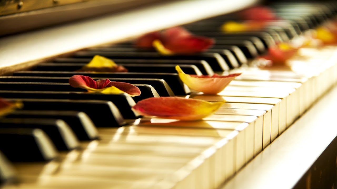La musica è un linguaggio universale (per davvero) – Scuola Primo Piano